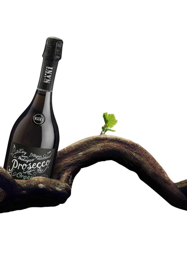 Alberto Nani an Organic Prosecco to enjoy
